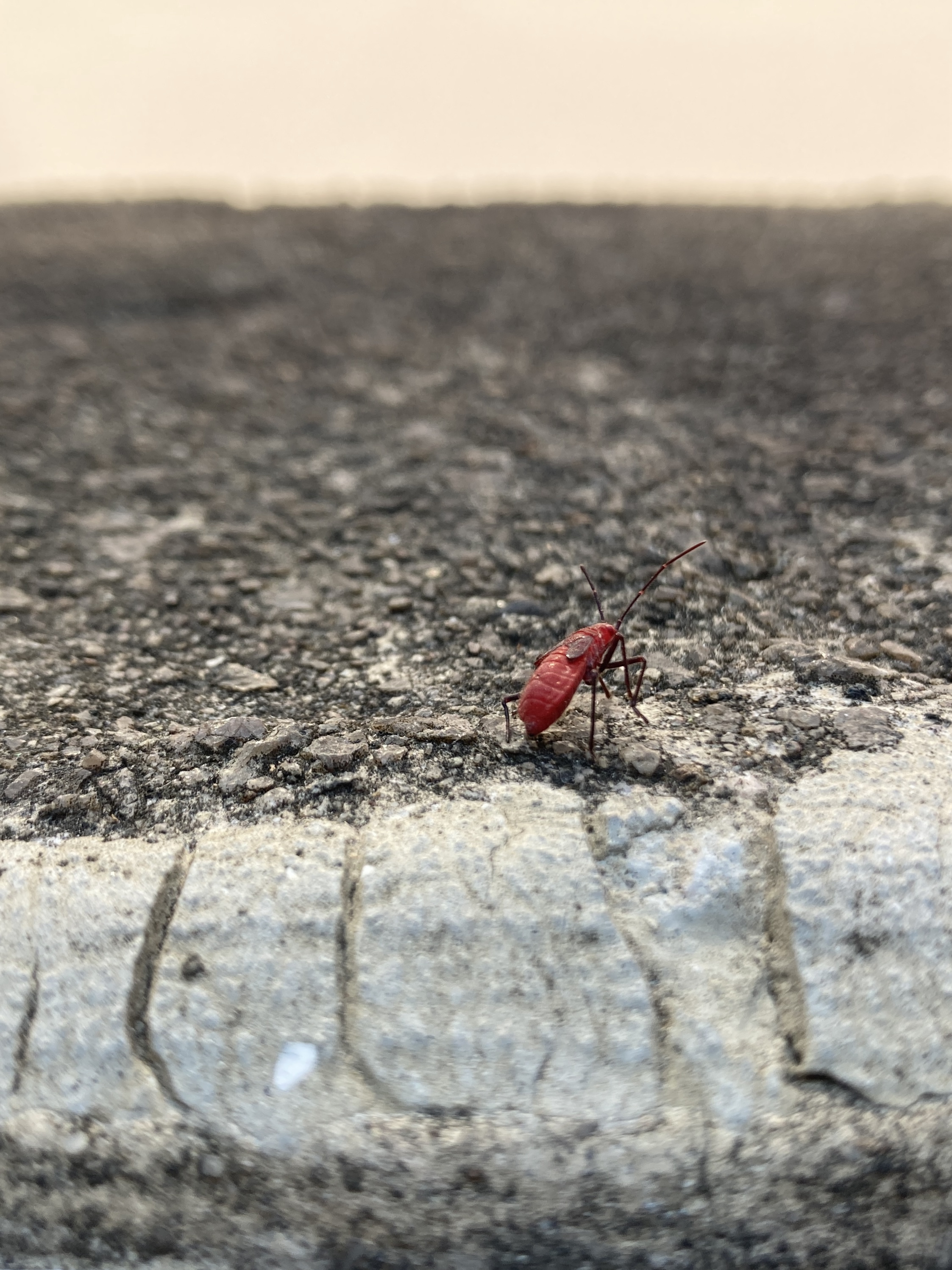 Expedition – Momentai Studio